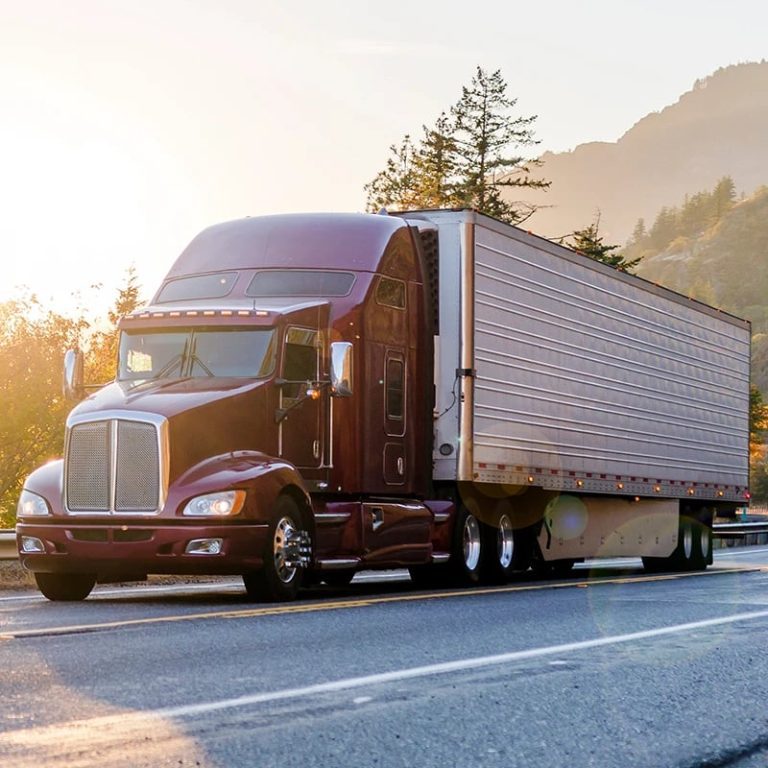 Lightweight, Collapsible, Recyclable | Gorilla Drum™